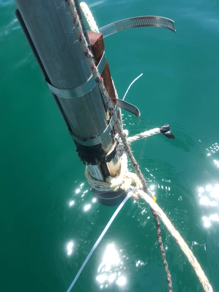 Acenergy Engineering - DT-NDT Tanjung Sulong Export Terminal, PETRONAS ...